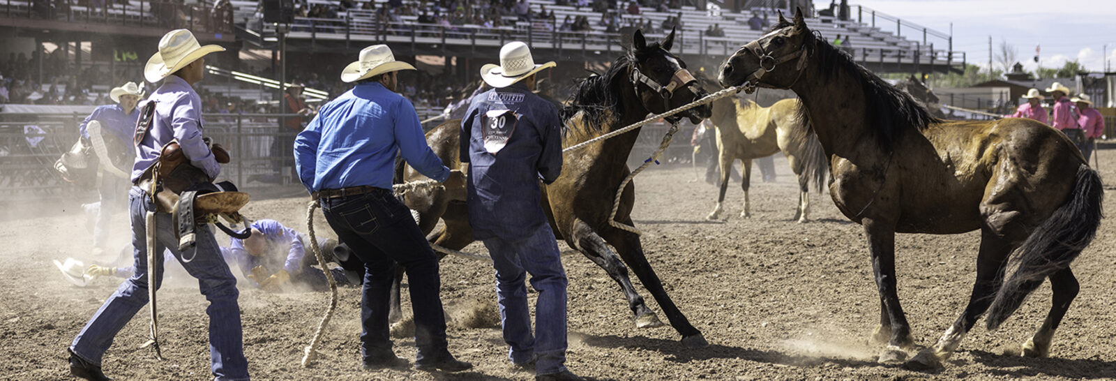 The Rodeo: Wild Horse Race - Cheyenne Frontier Days