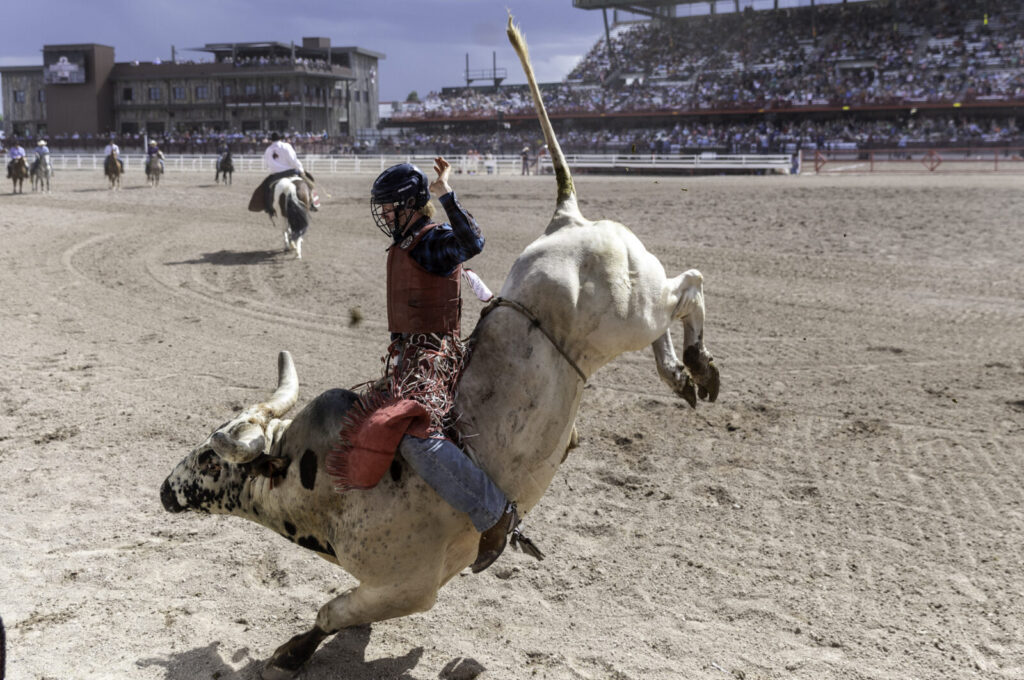 Rodeo 101 - Cheyenne Frontier Days
