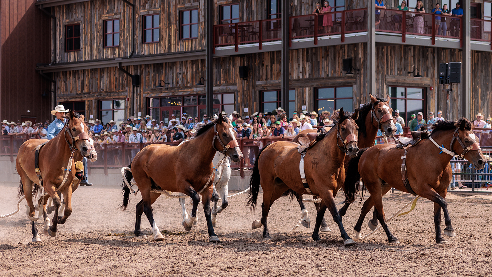 Rodeo 101 - Cheyenne Frontier Days